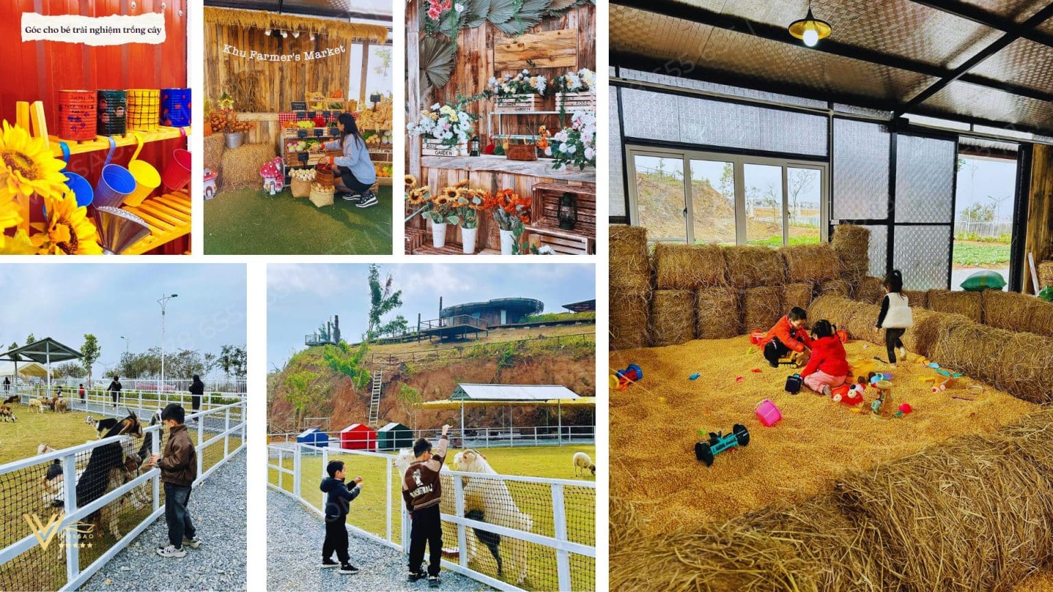 Du Lịch Tuần Châu 2025 – Đặt vé Tuần Châu Farm Online, Bảng Giá Mới ...